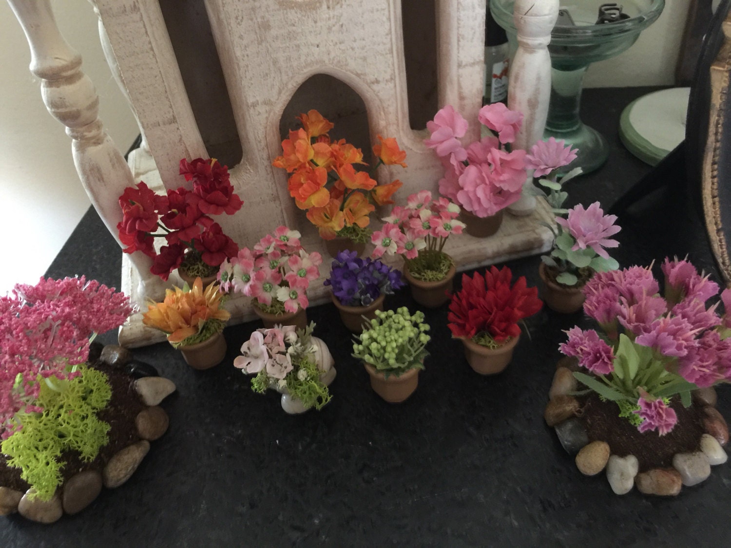 Miniature Flowers, Miniature Potted Plants, Miniature House Plants ...
