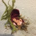 Miniature Fairy Fern Baby, Miniature Fairy Baby, Miniatures, Fairy ...