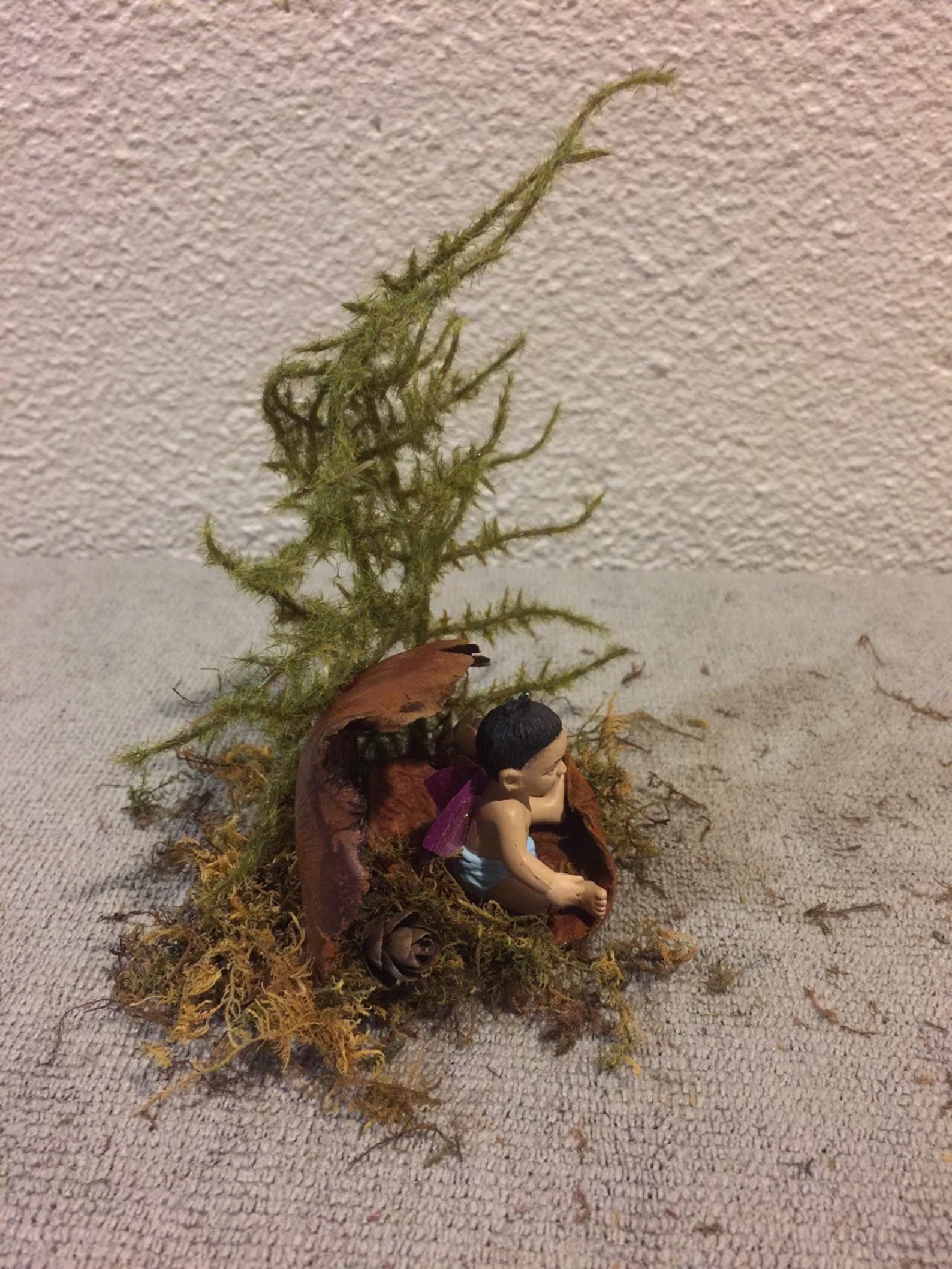 Miniature Fairy Fern Baby, Fairy Baby, Miniature, Fairy Garden ...
