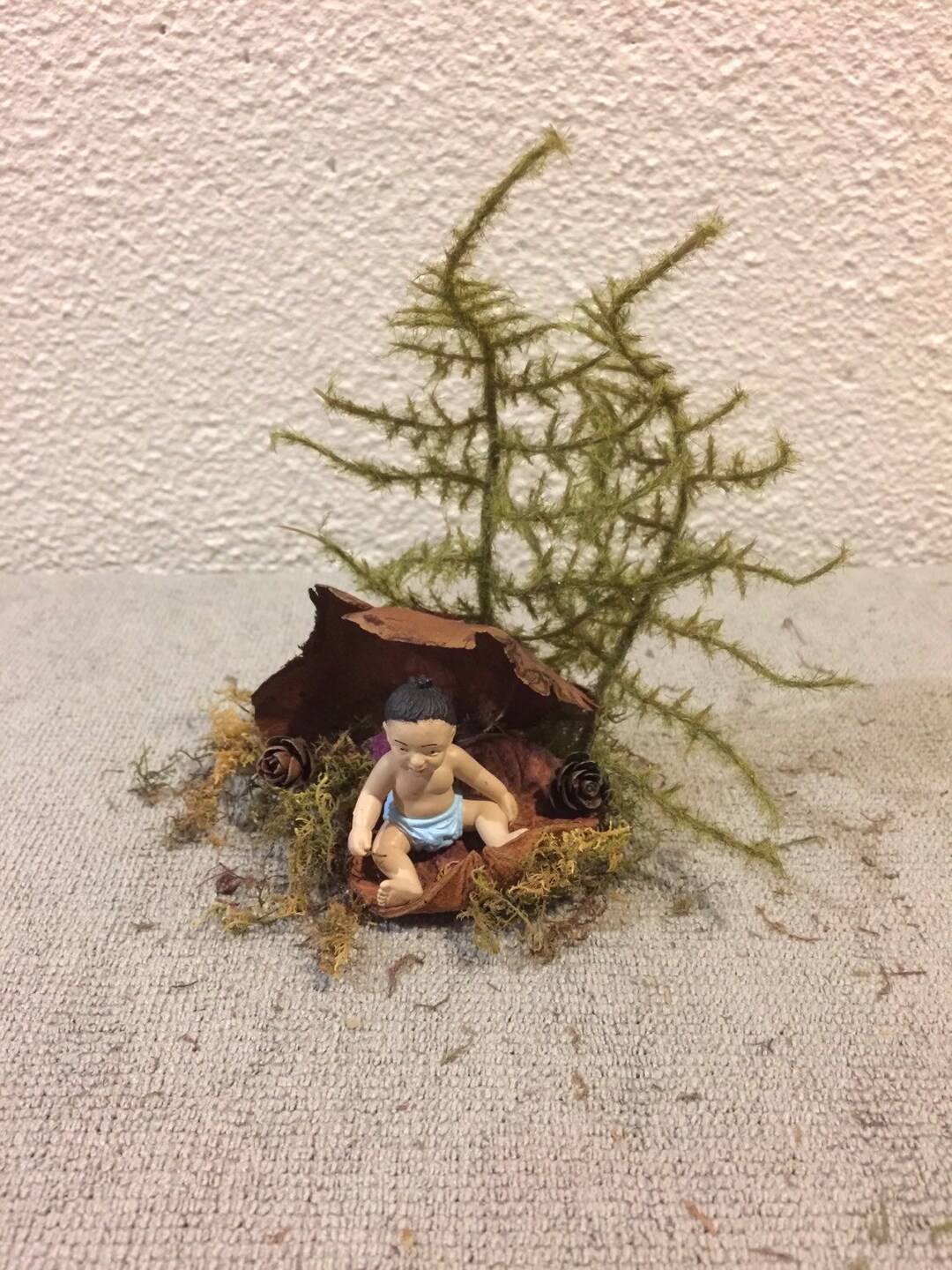 Miniature Fairy Fern Baby, Fairy Baby, Miniature, Fairy Garden ...