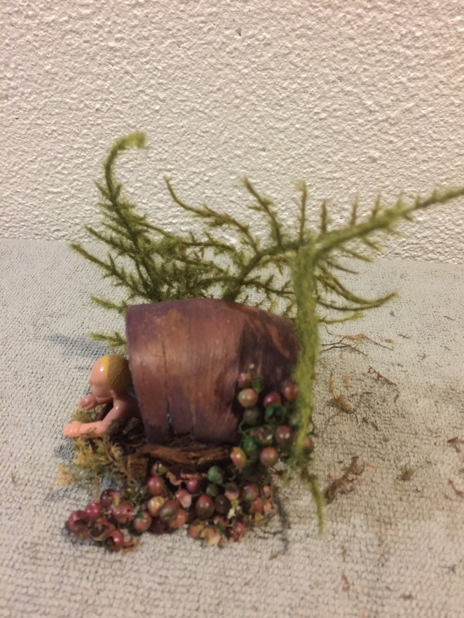 Miniature Fairy Fern Baby Miniature Fairy Baby Miniatures - Etsy