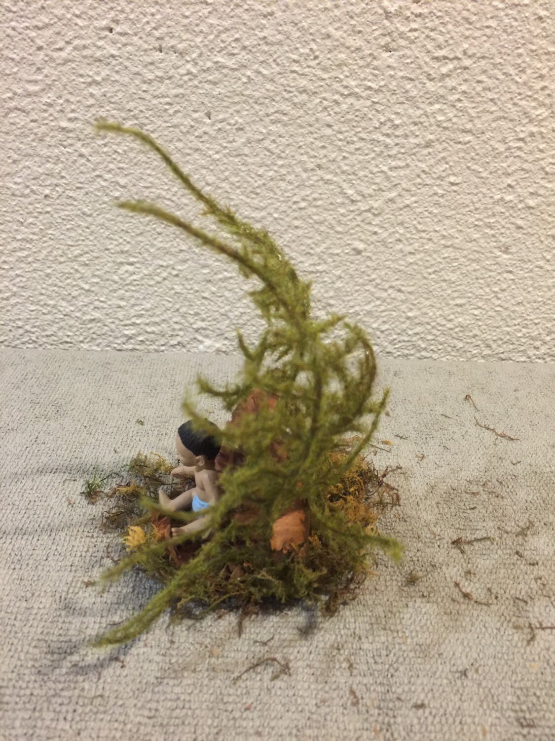 Miniature Fairy Fern Baby, Fairy Baby, Miniature, Fairy Garden ...