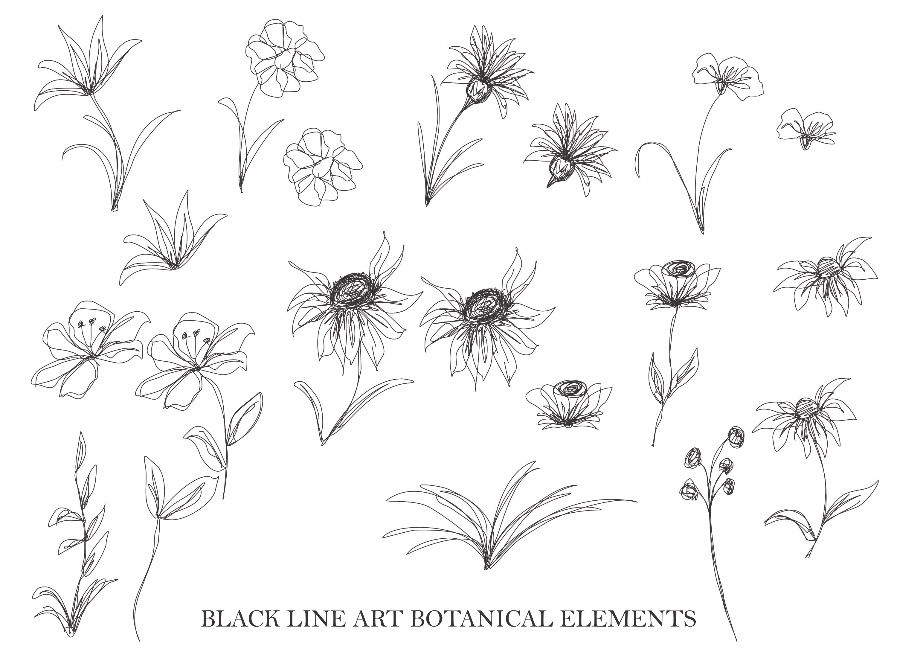 Line Art Flowers Clipart Commercial Use Clipart Line Art - Etsy