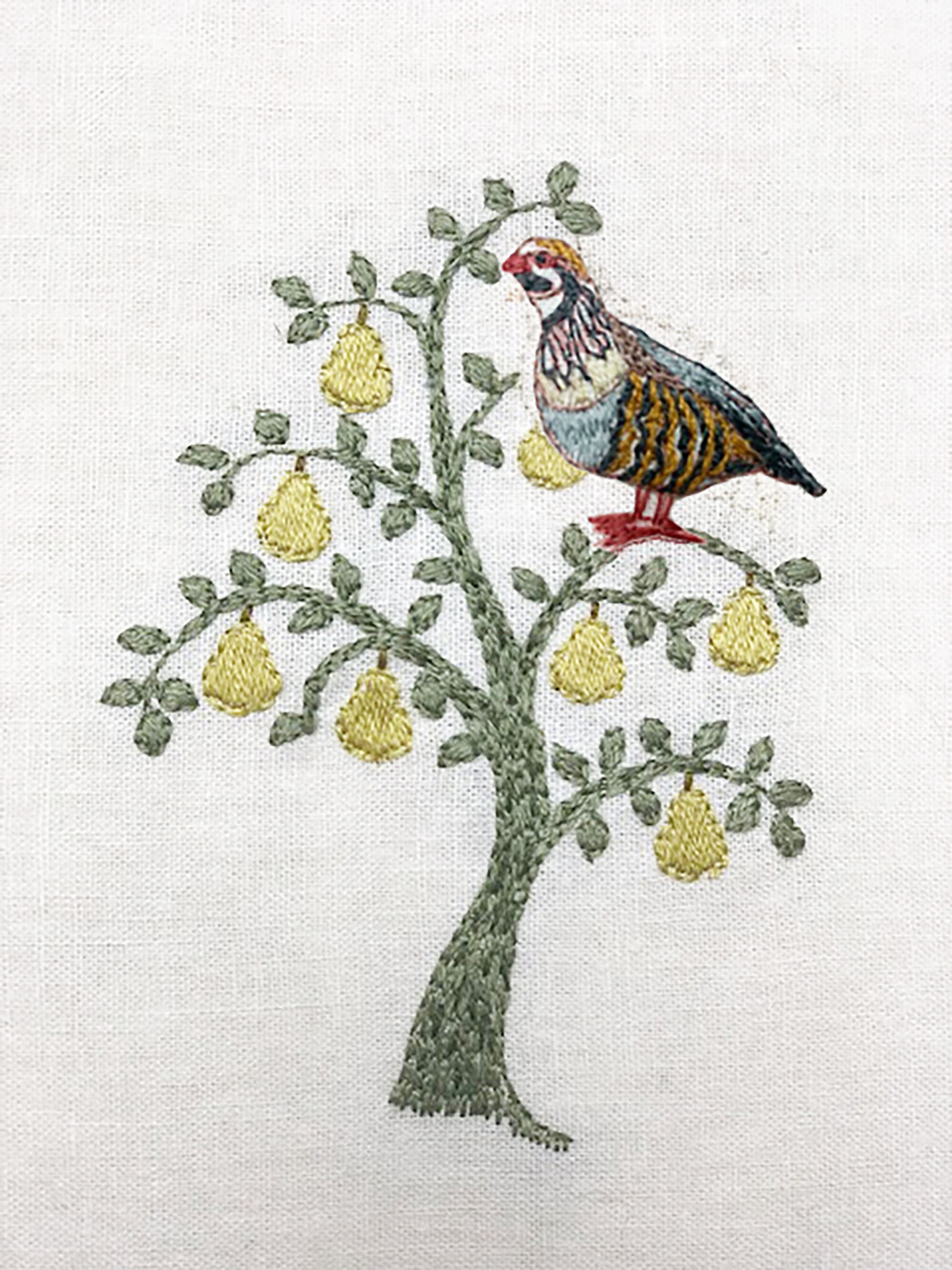 Partridge in a Pear Tree Embroidery Kit: Beginner Christmas Hoop Art - Etsy