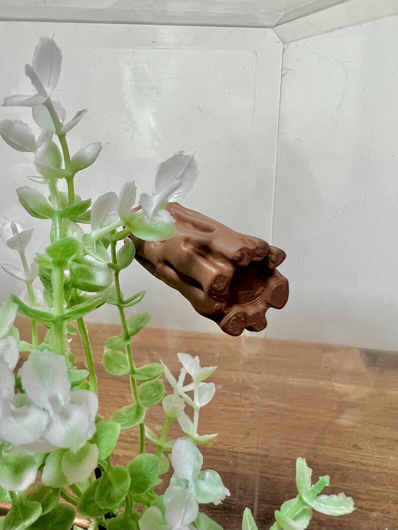 Log Perch for Jumping Spiders: Naturalistic Habitat Decor - Etsy