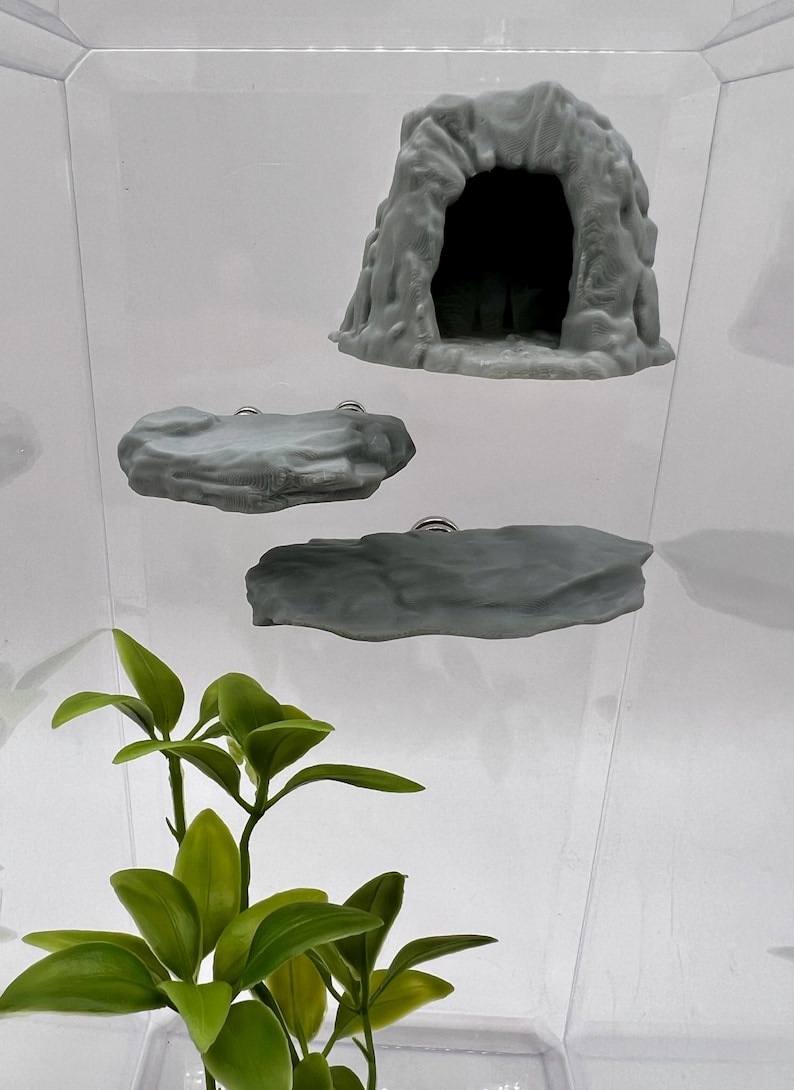 Jumping Spider Stone Cave Hide & Ledge Set: Naturalistic Enclosure ...