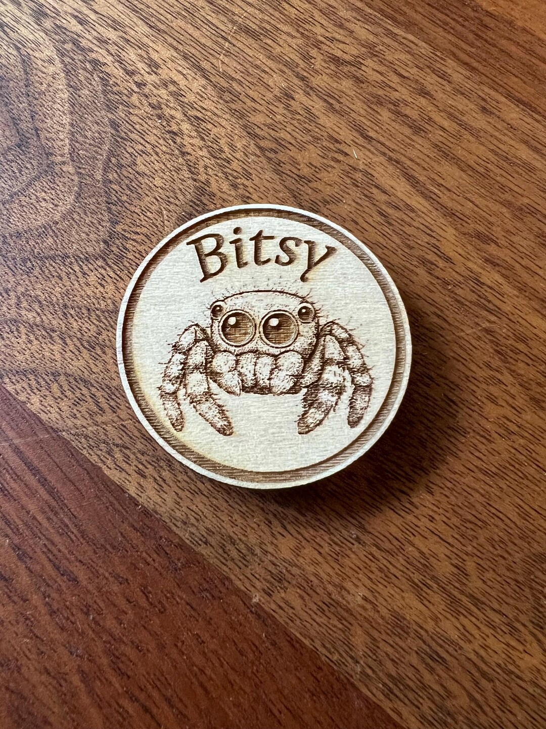 Custom Magnetic Jumping Spider Enclosure Name Plate: Personalized ...
