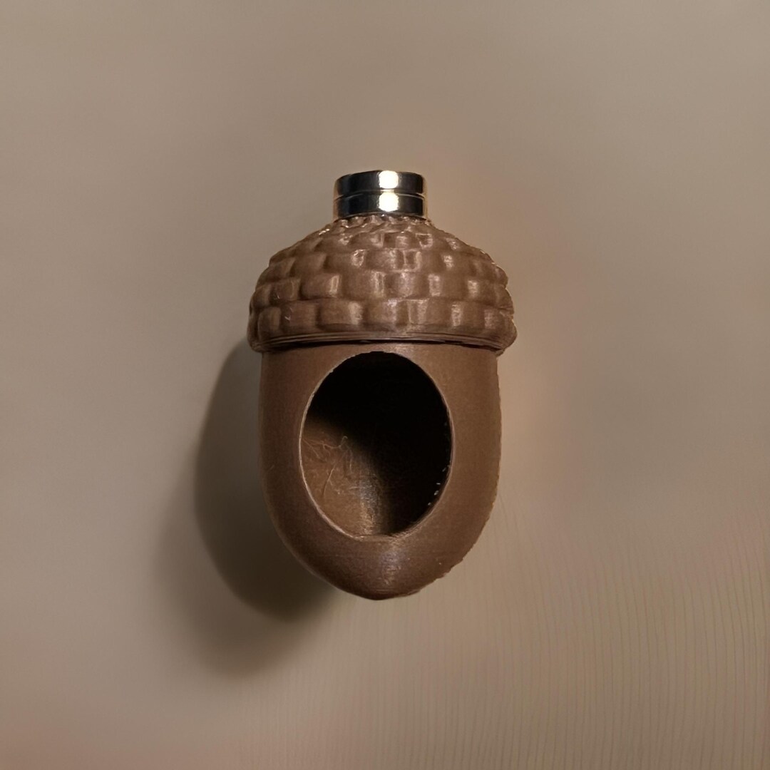 Acorn Hide for Jumping Spiders - Perfect for Naturalistic Environments ...