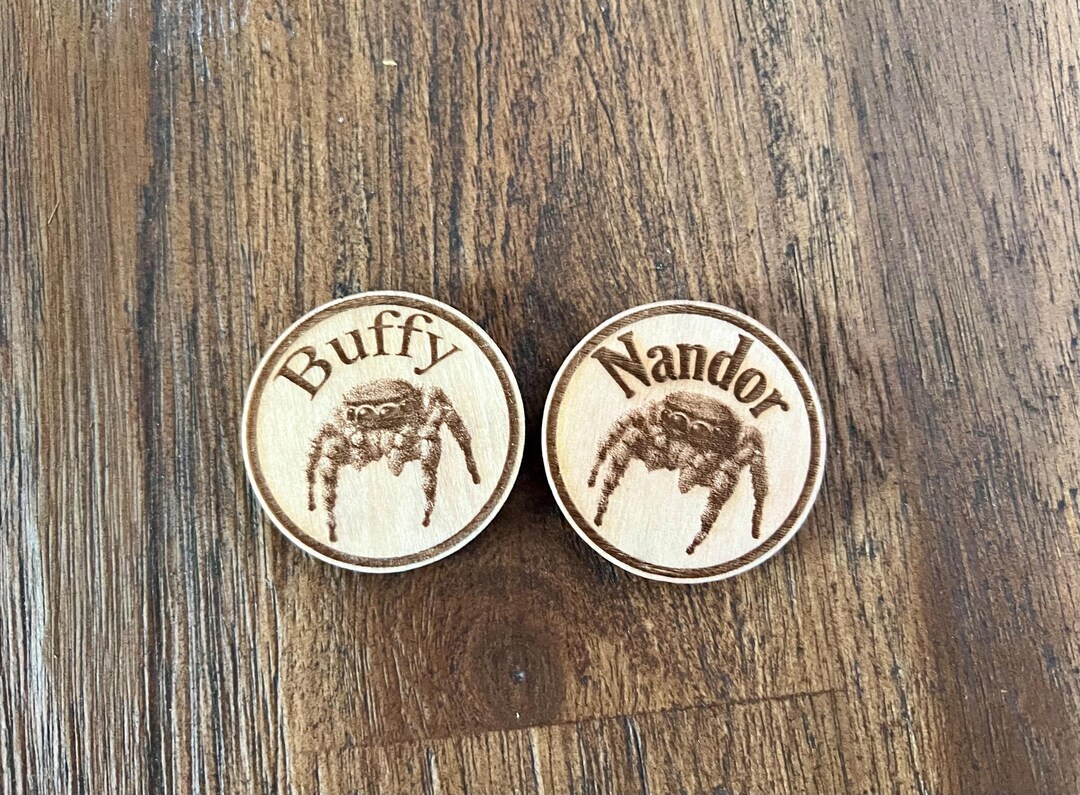 Custom Jumping Spider Name Plate: Magnetic Enclosure Token - Etsy