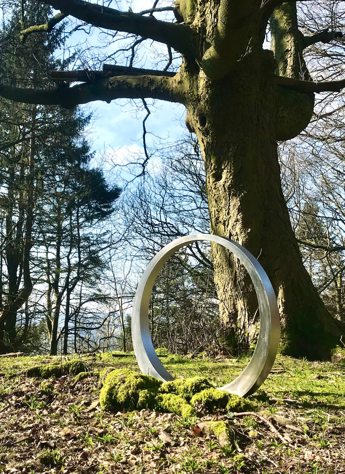 80cm Stainless Steel Moongate - Etsy