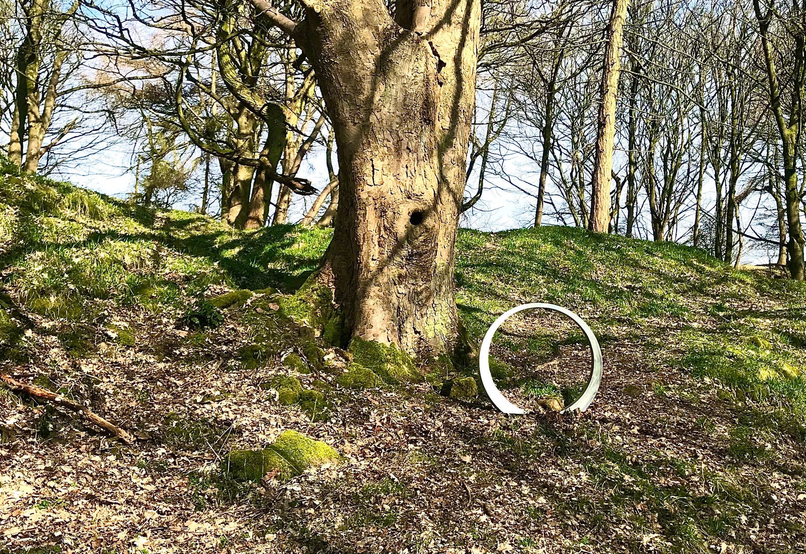 80cm Stainless Steel Moongate | Etsy