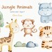 Cute Safari Clipart Lion Tiger Giraffe Elephant Zebra Monkey Forest ...