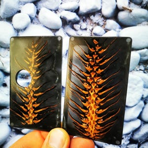 MagicBoxDoors - Etsy