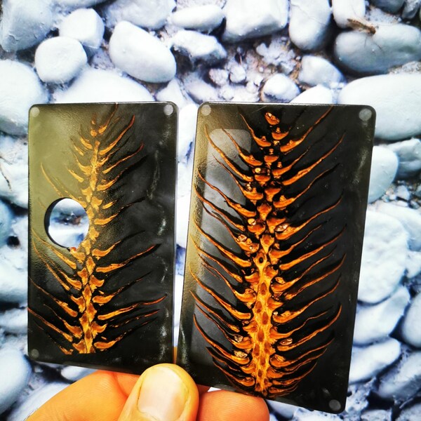 MagicBoxDoors - Etsy