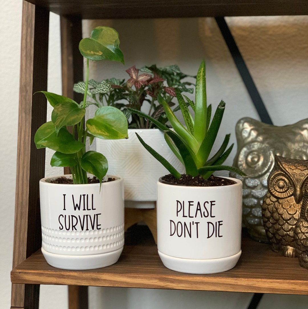 Funny Plant Pot Decals - Stickers for Planters - Etsy