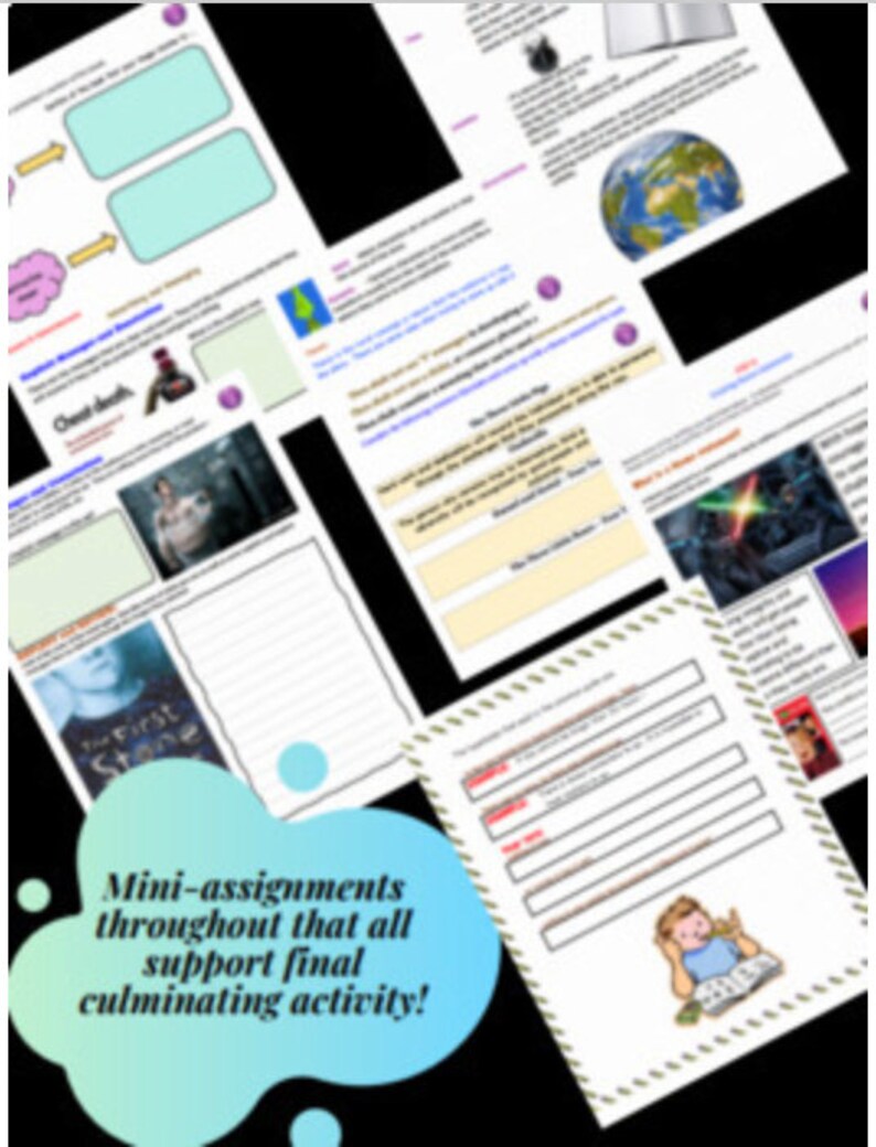 The First Stone Novel Study Unit Plan grade 9/10 - Etsy