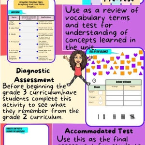 Grade 2/3 Graphing and Line Plot Assessment or Review PDF Printable - Etsy