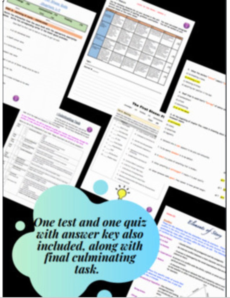 The First Stone Novel Study Unit Plan grade 9/10 - Etsy