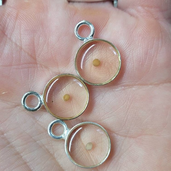 Mustard Seed Charm - Etsy