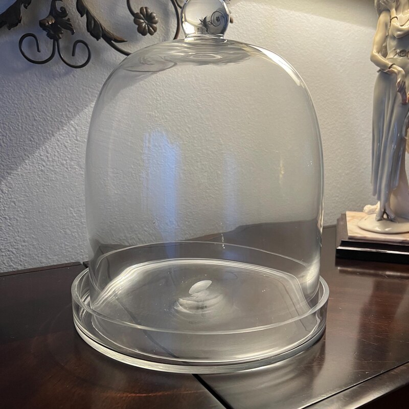Glass Cloche - Etsy