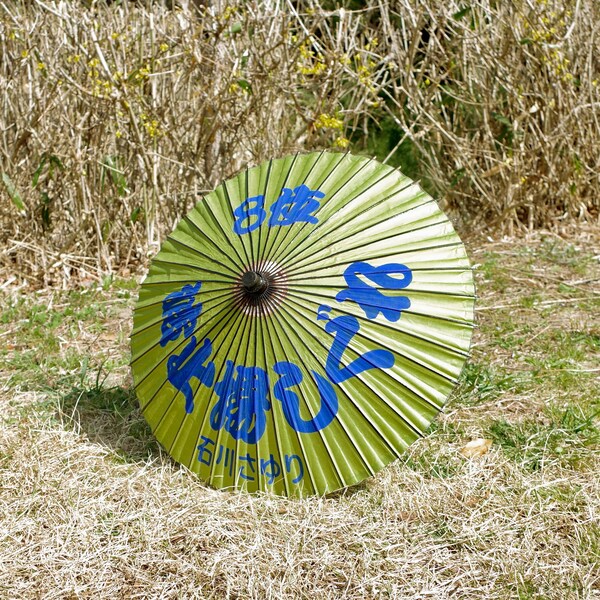 Wagasa - Etsy