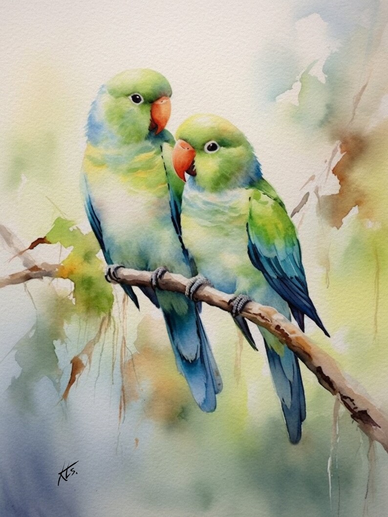 Quaker Parrots Watercolor Printable - Wall Art Digital Download ...