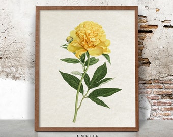 Yellow Rose Print | Etsy
