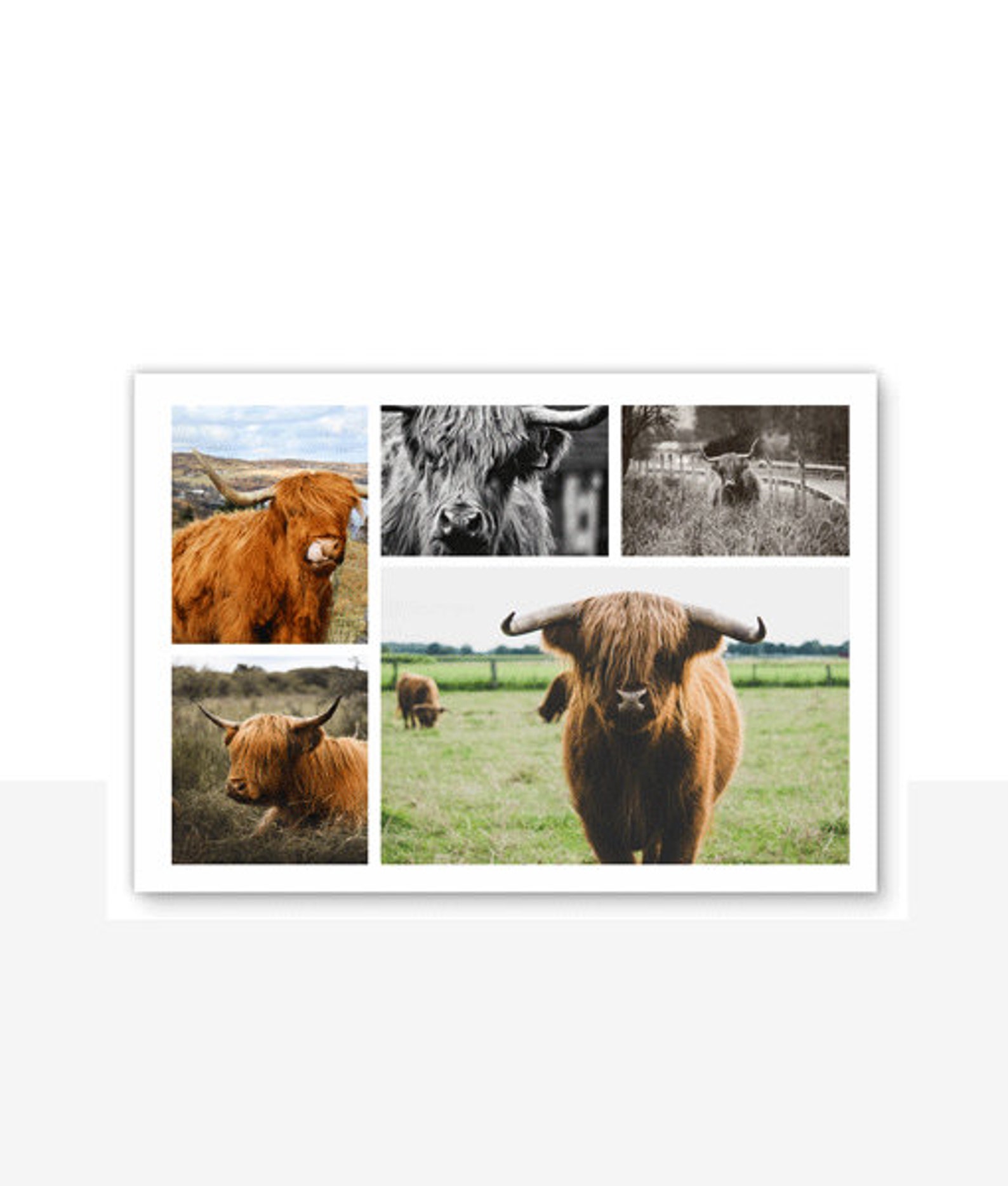 Highland Cattle Art Highland Cow Print Highland Cow Collage - Etsy