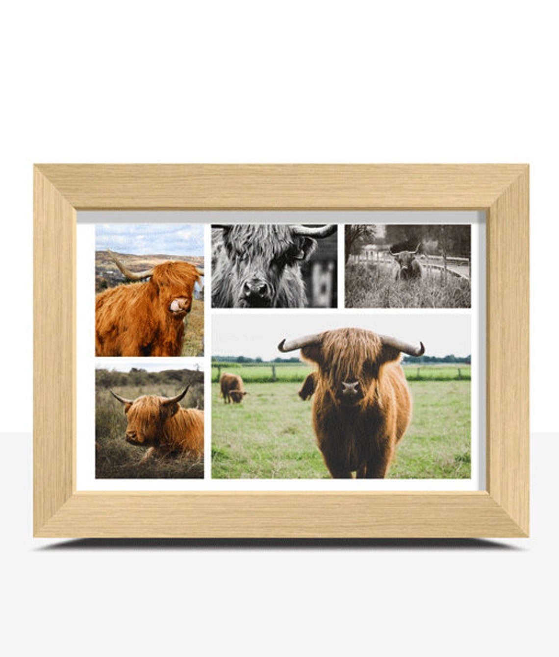 Highland Cattle Art Highland Cow Print Highland Cow Collage - Etsy