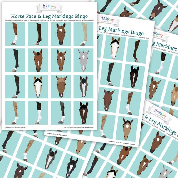 Horse Leg Markings Chart