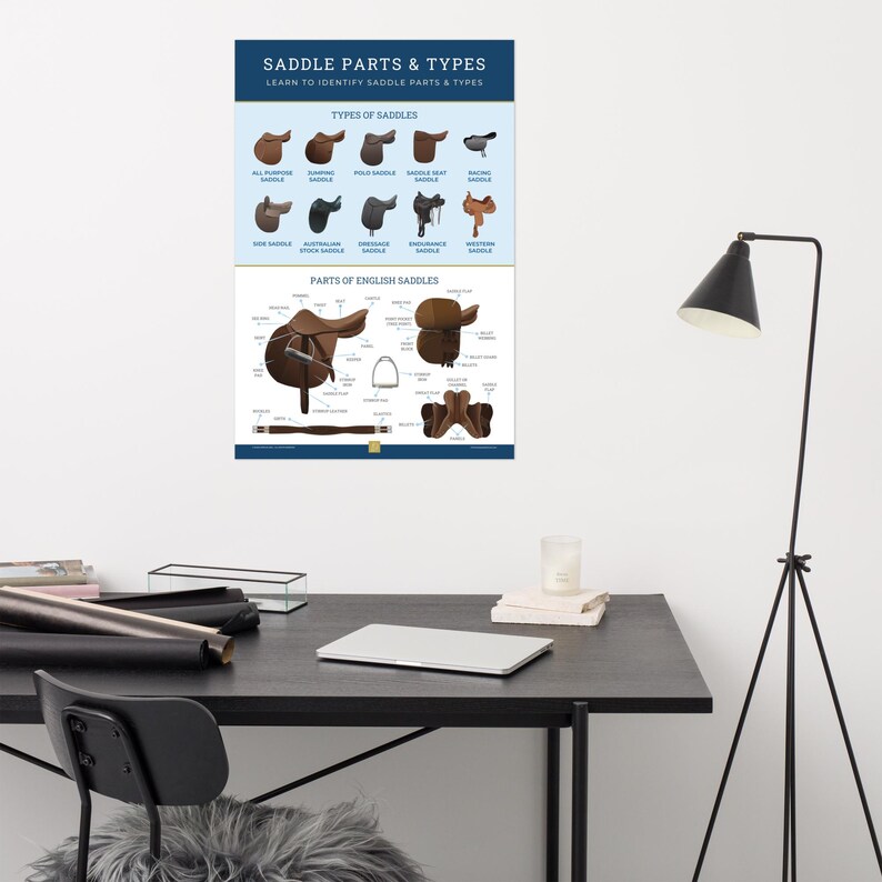 Saddle Types & Parts Poster - Etsy