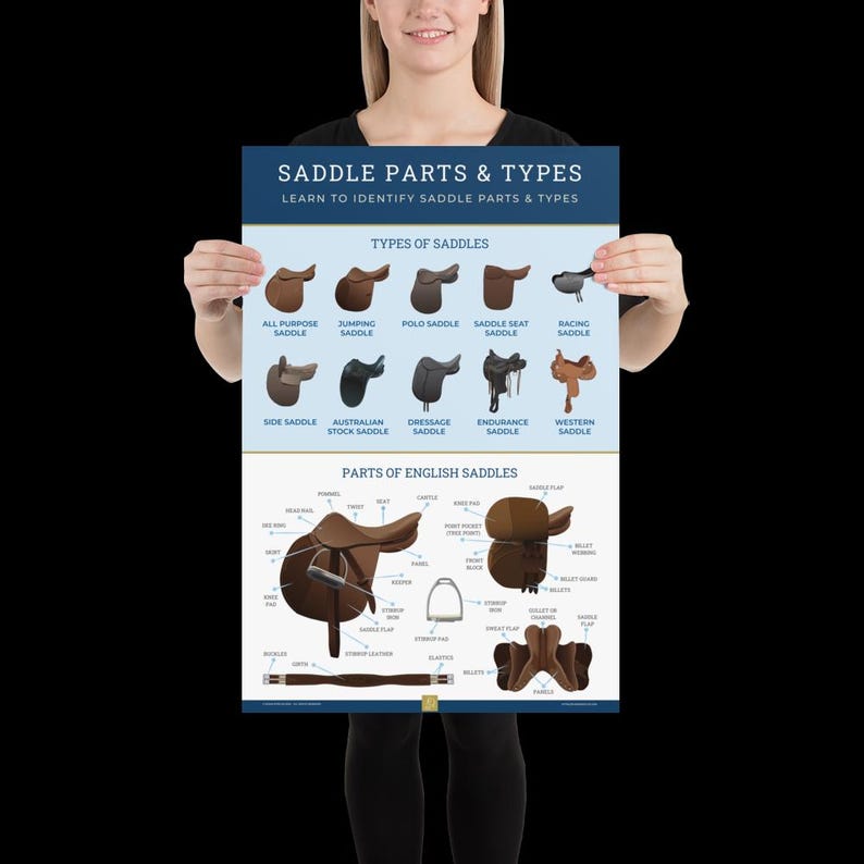 Saddle Types & Parts Poster - Etsy