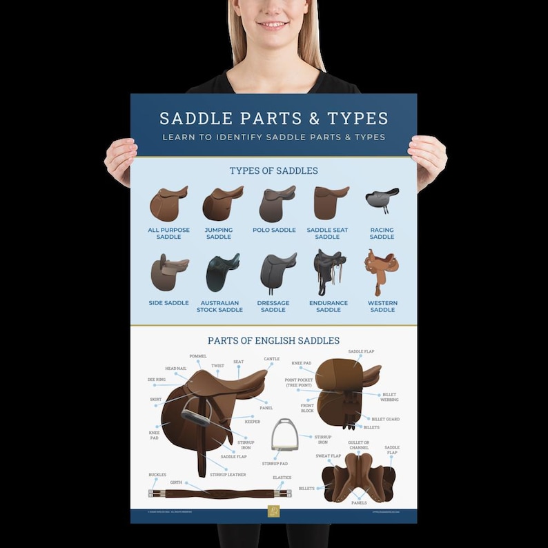 Saddle Types & Parts Poster - Etsy