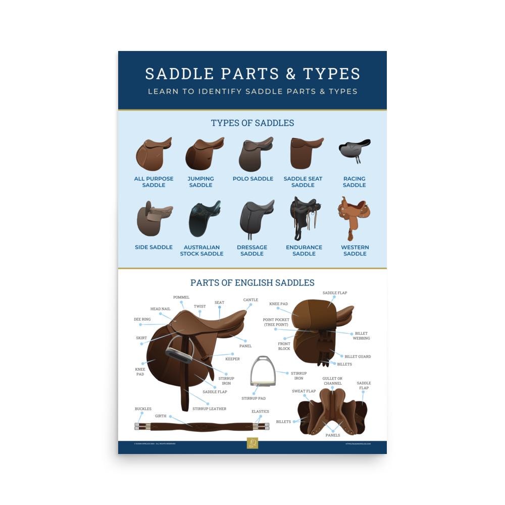 Saddle Types & Parts Poster - Etsy