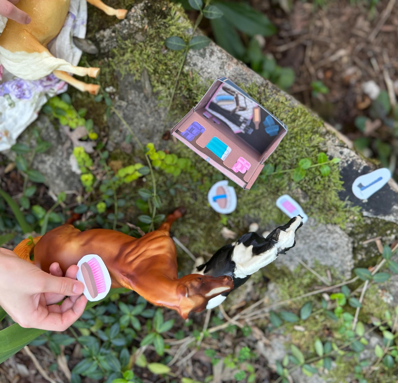 Build Your Own Horse Show Tack Trunk PDF Download - Etsy