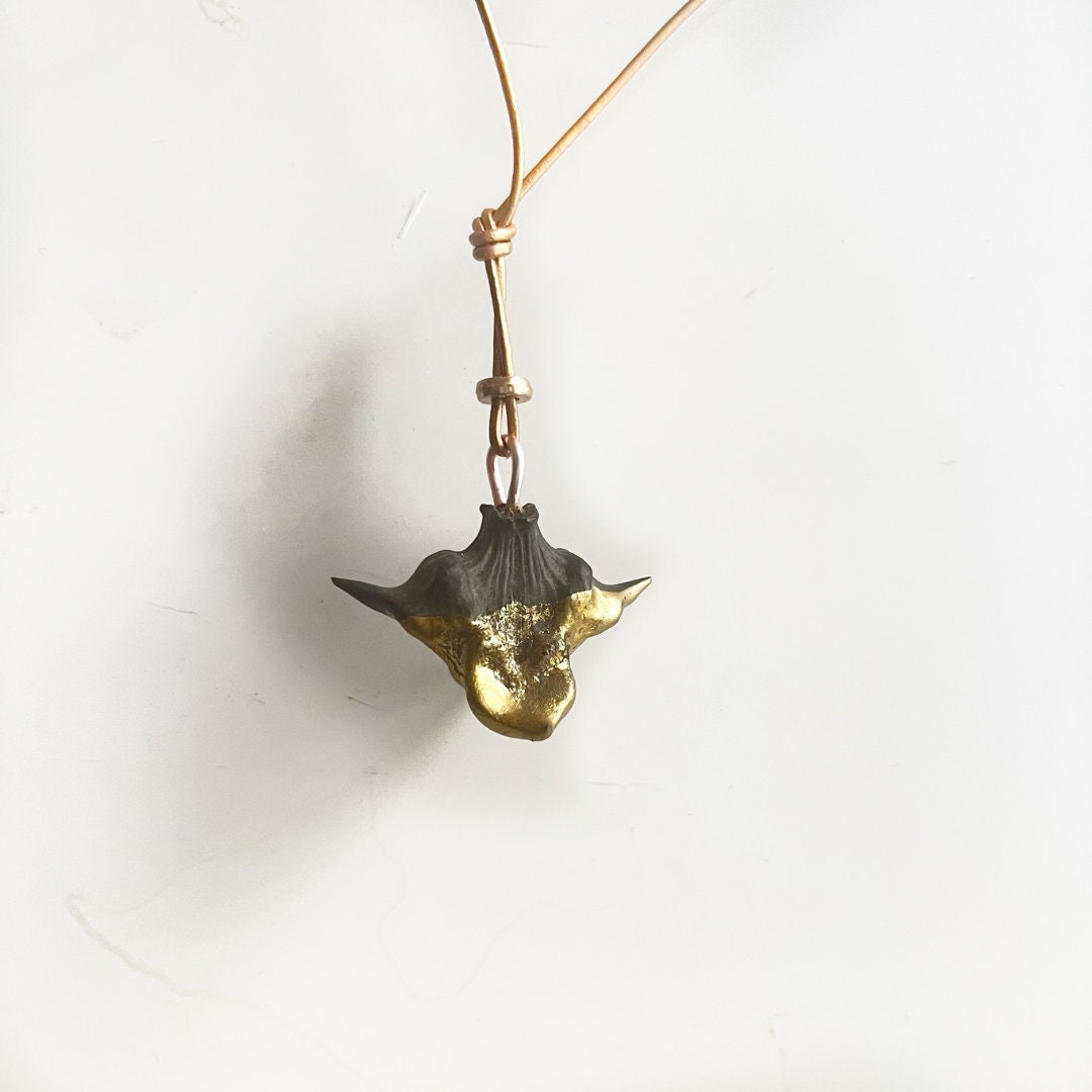 Personalized Necklace - Devil Pod (bat Nut) and a Wearable Wellness ...