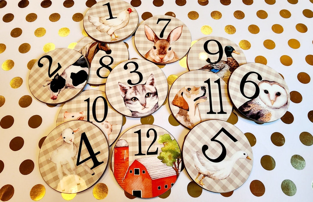 Farm Nursery,farm Animal Monthly Photo Props, Animal Nursery, Gingham ...