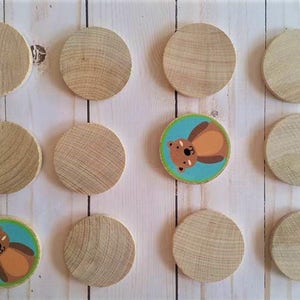 Memory Match Game - Forest Animal Game - Educational Toy - Montessori ...