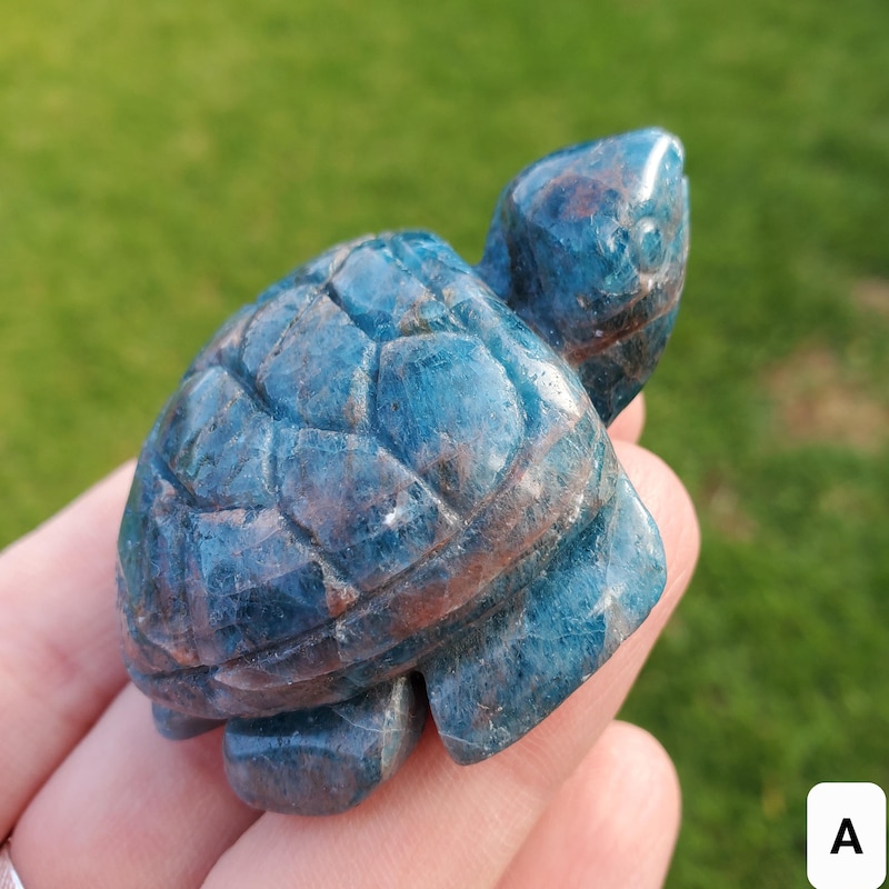 Crystal Turtle - Etsy