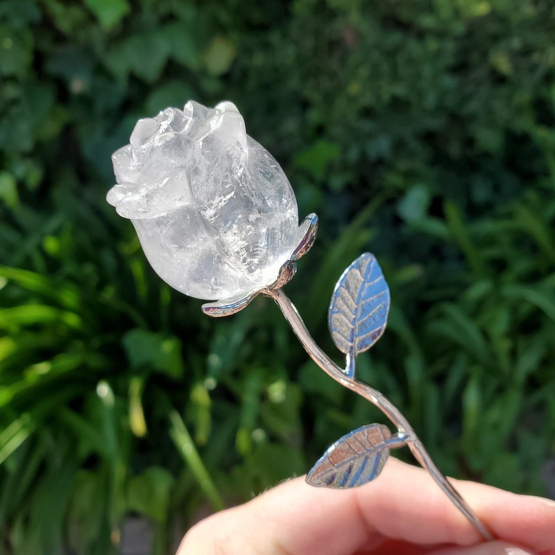 Clear Crystal Stems - Etsy