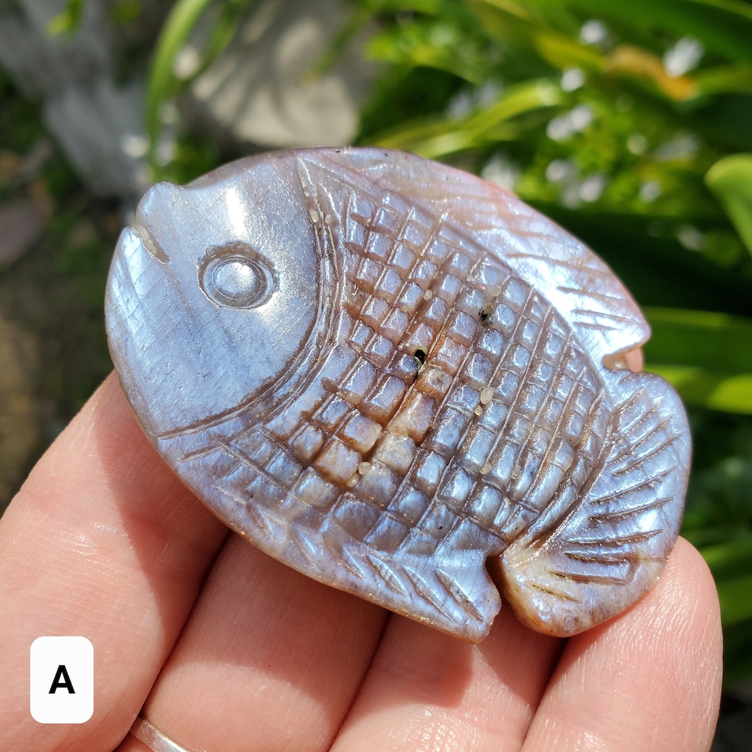 Flashy Moonstone Fish With Sunstone Uplifting, Raises Vibration ...