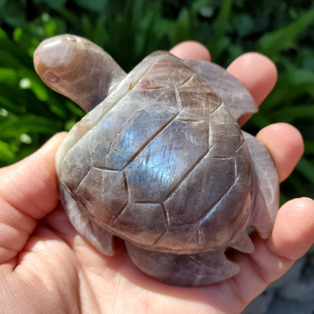 Flashy Moonstone Turtle With Sunstone - Uplifting, Raises Vibration ...