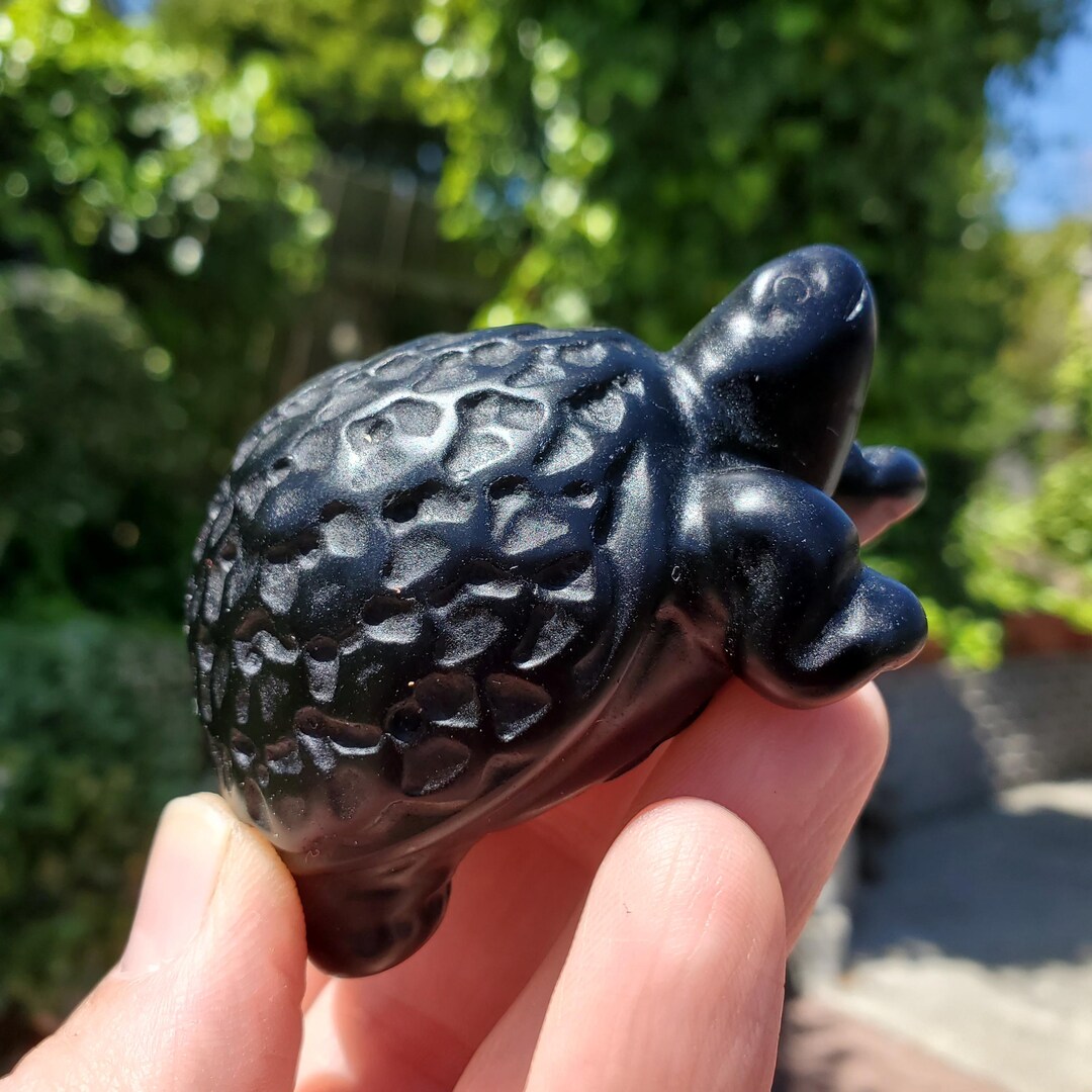 Obsidian Turtle With Feng Shui Coin Design - Self Reflection, Release ...