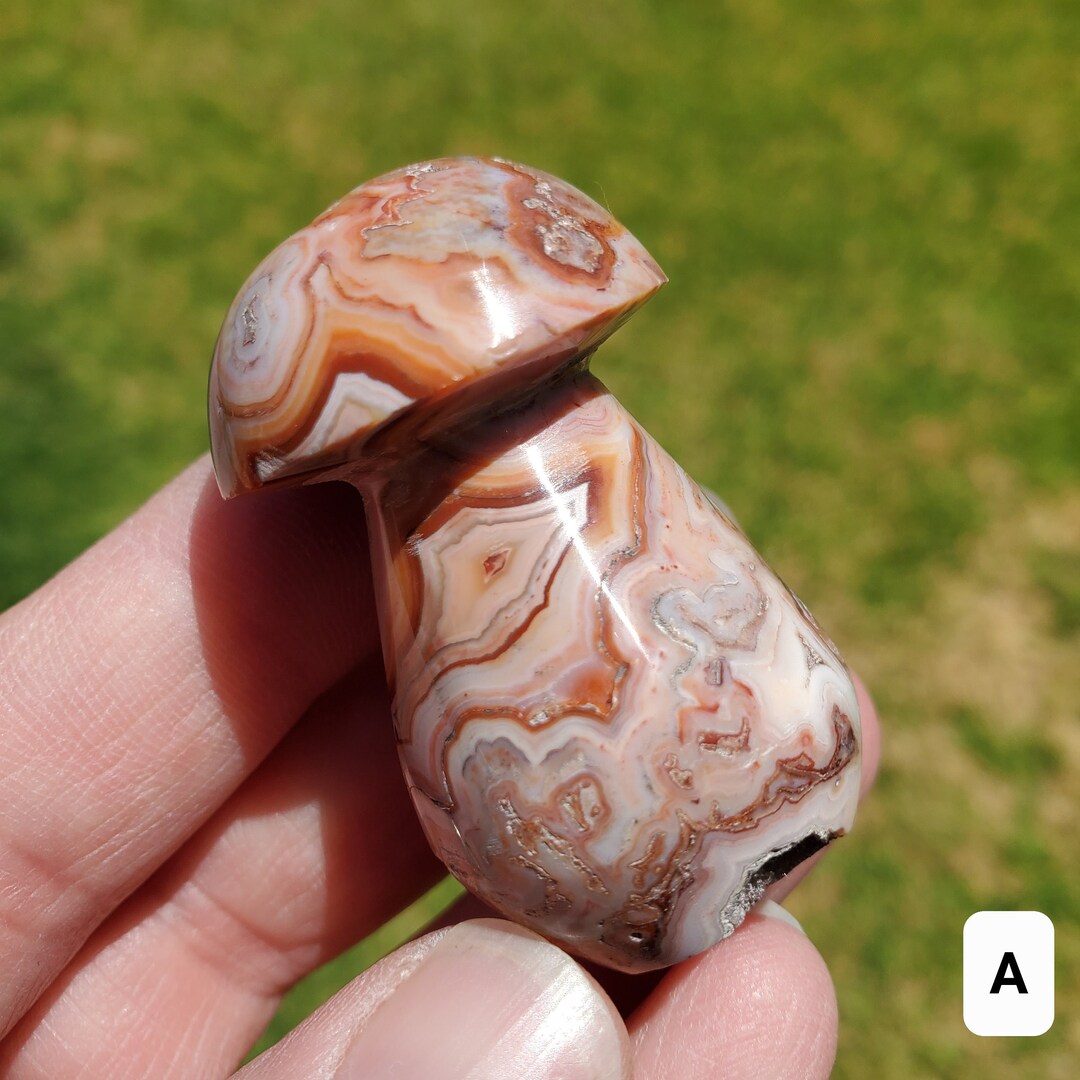 Cute Druzy Pink Lace Agate Mushroom - Balance of the Physical, Mental ...