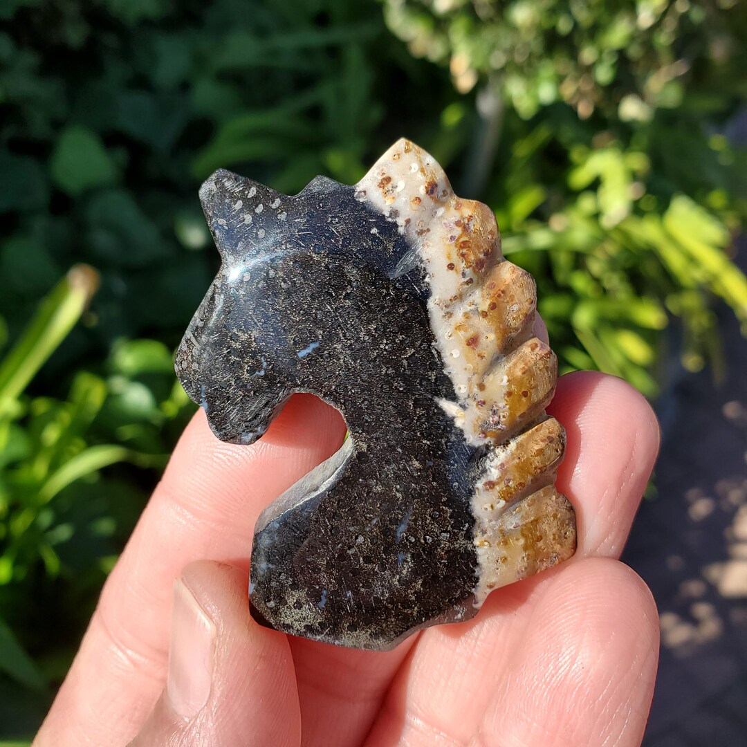 Small Petrified Palm Root Unicorn Carving - Calming, Cleansing ...
