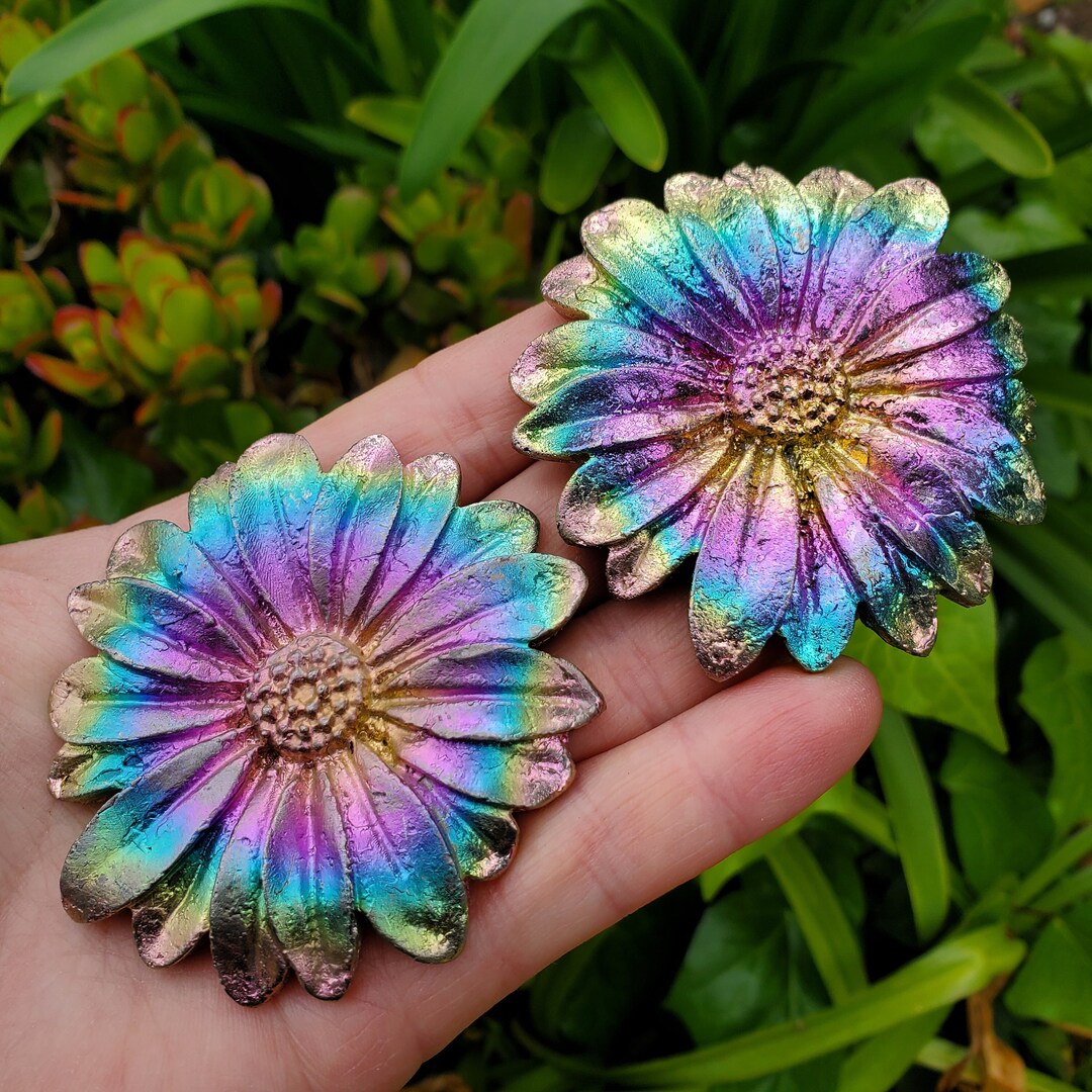 Bismuth Daisy Flower - Togetherness, Helps Bond Relationships ...