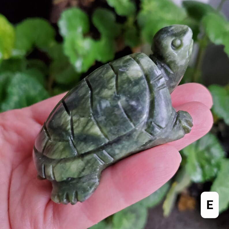 Serpentine Jade Turtle Intuition Rebirth Guides Us to Our - Etsy