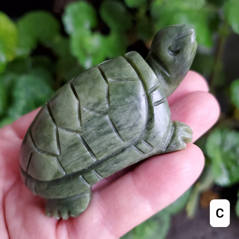 Serpentine Jade Turtle Intuition Rebirth Guides Us to Our - Etsy