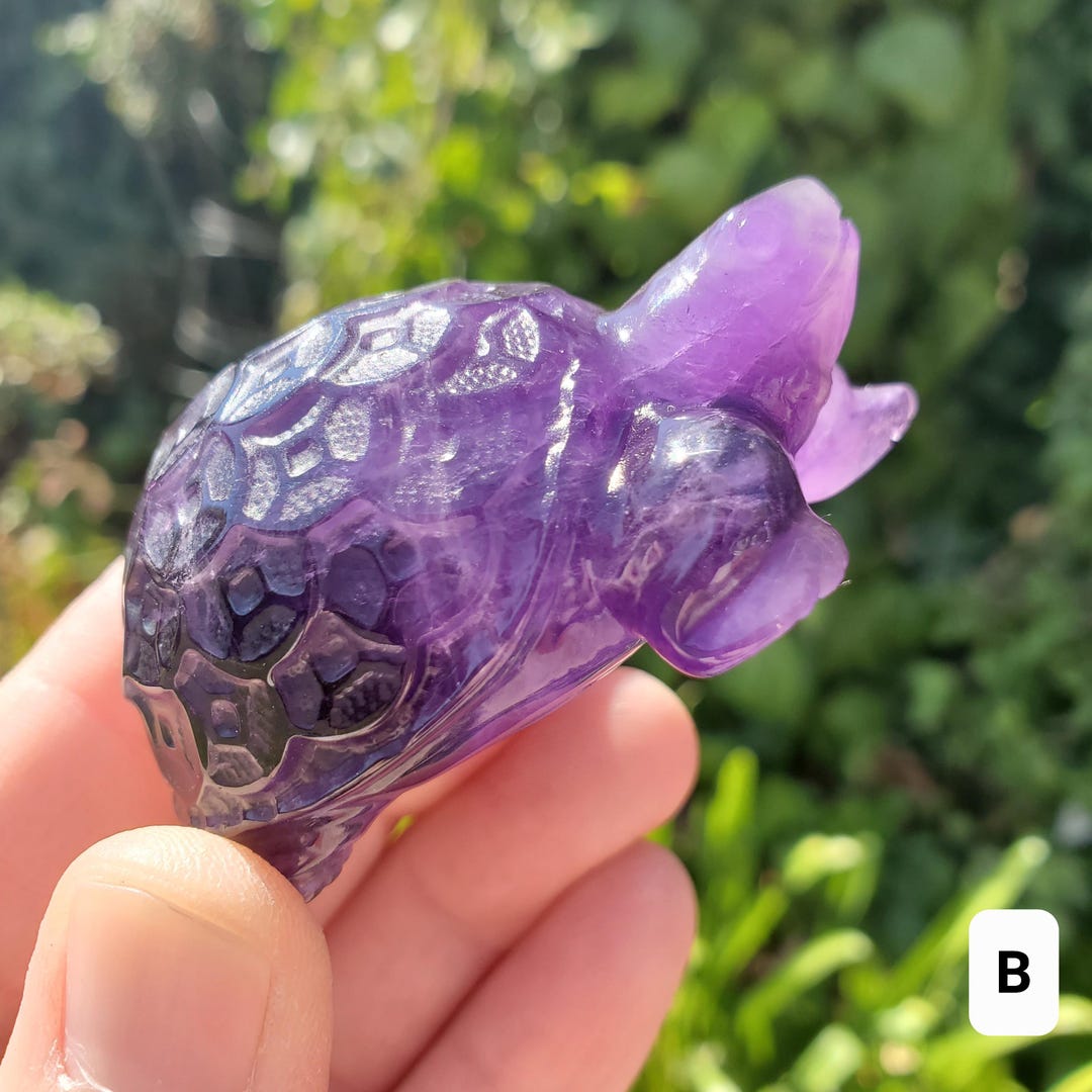 Amethyst Turtle With Feng Shui Coin Design - Calming, Energetic ...