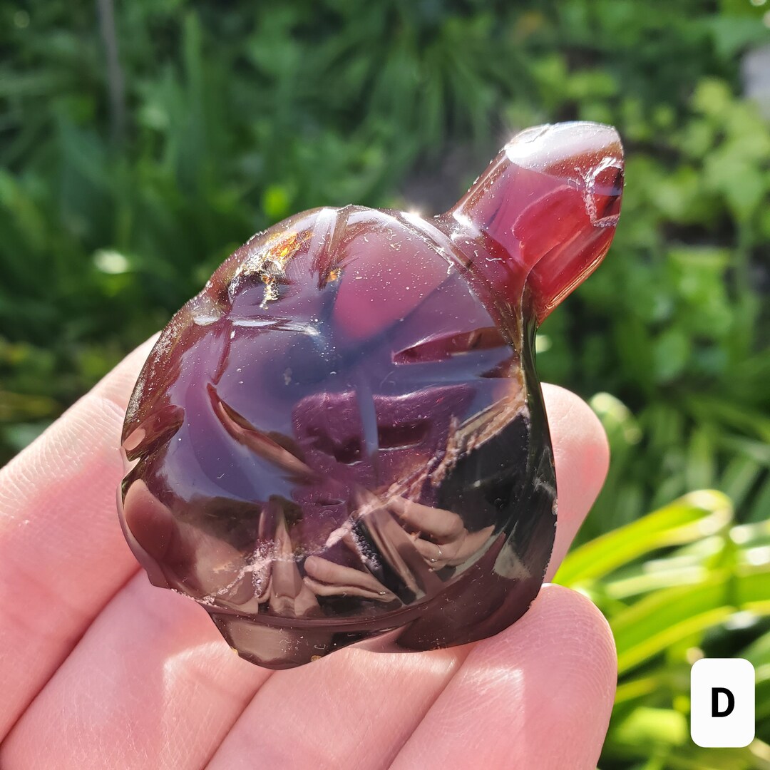 Amber Turtle Fossilized Tree Sap Transforms Negativity Into Positivity ...